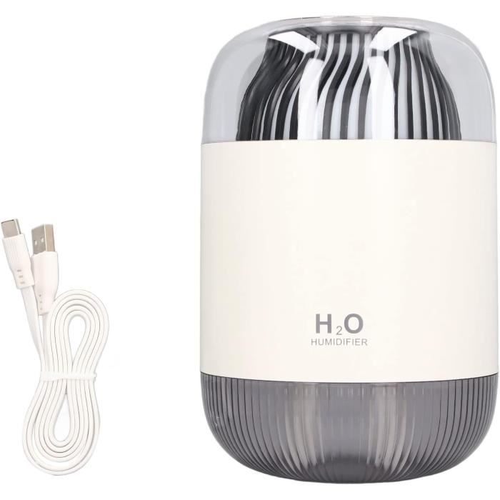 Mini Humidificateur Frais, Humidificateurs À Brume De 1000 Ml, Chargeur ...