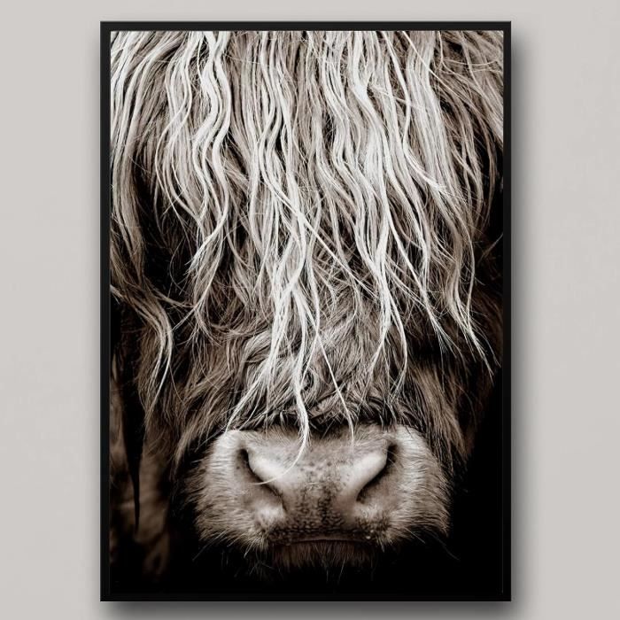 Impression Sur Toile De Vache Nordique Des Highland,Highland,Poster De ...