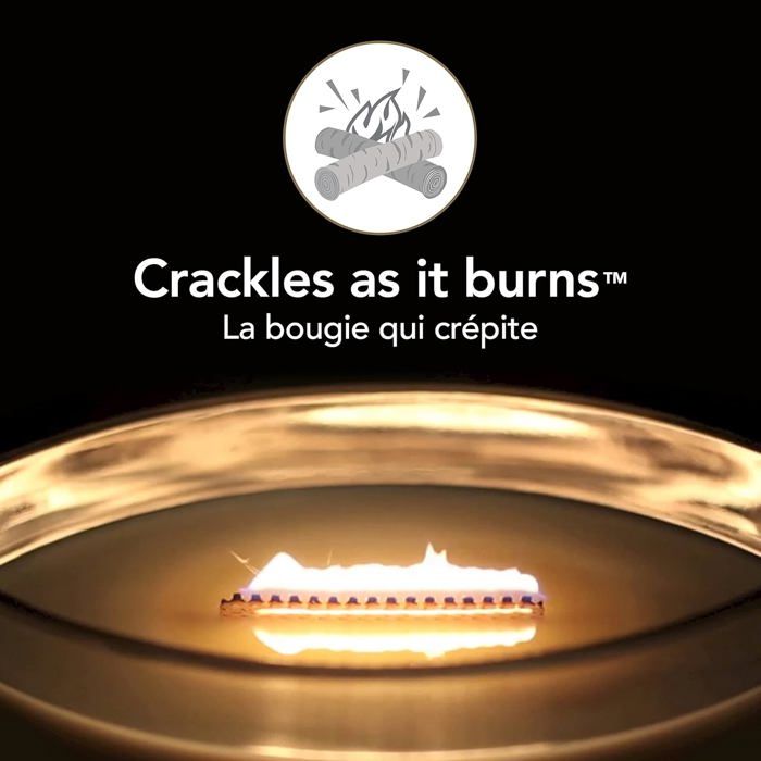 WoodWick Ellipse Bougie parfumée Gousse de vanille avec mèche ...