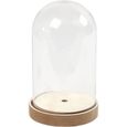 Cloche en plastique - 20 - Transparent - 18 x 11 cm - Socle MDF ...