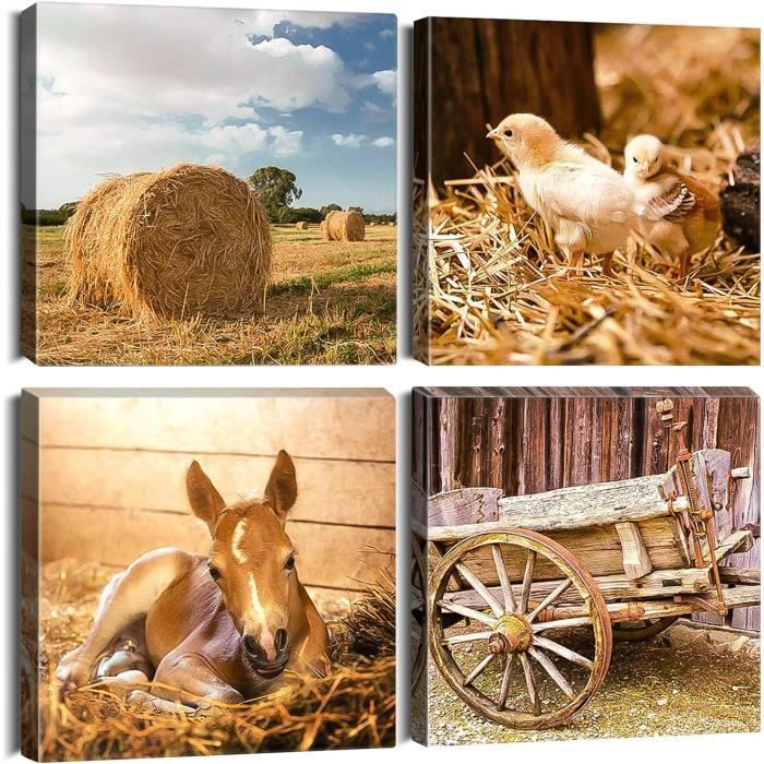 Impression Sur Toile 30X30Cm - Ferme - TOILE - 4 Parties - Haute ...
