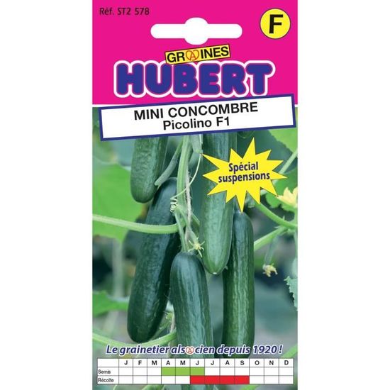 10 Graines De Mini-Concombre Picolino F1 - Spécial Suspensions[z2425 ...