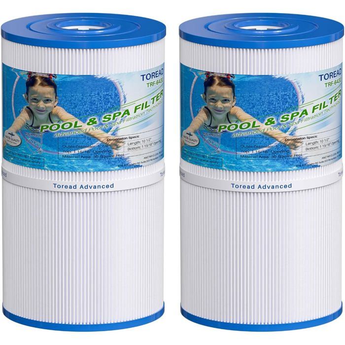 TOREAD Hot Springs Filtre Spa remplace Watkins 31489, Unicel C-6430 ...