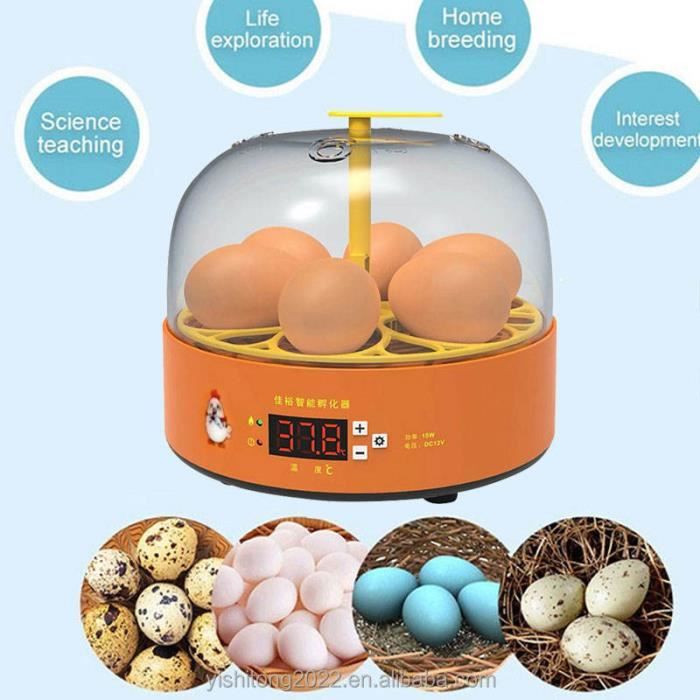 Couveuse - Mini Incubateur Capacité 6 oeufs outil de l'éclosion A2 ...