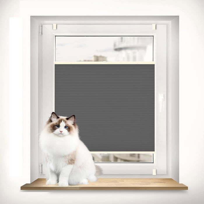 Store Plissé Occultant 55 X 60 Cm Thermique Volet Roulant Occultant Et ...