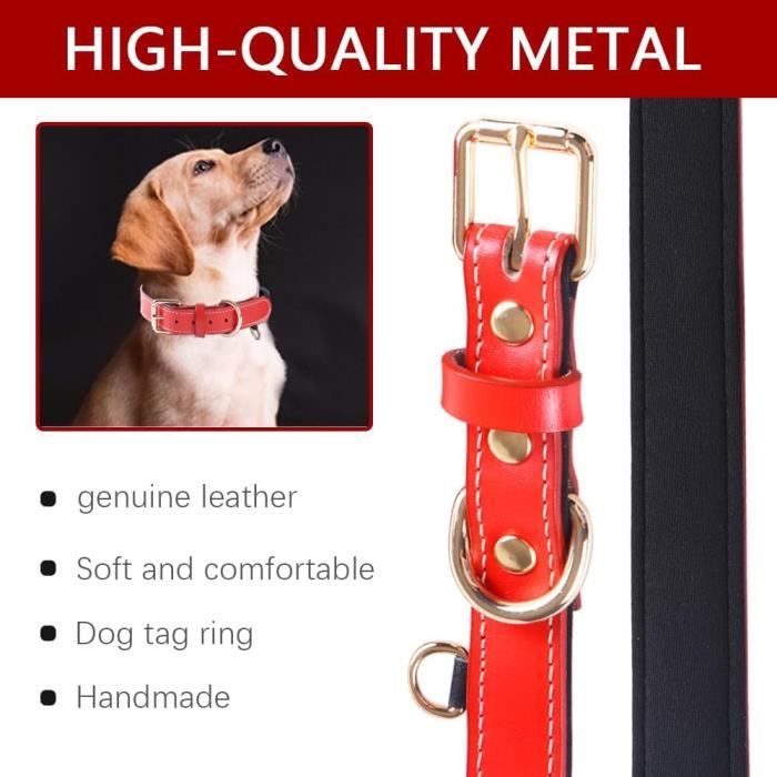 Colliers De Chien Souples Rembourrés En Cuir Véritable Réglables Pour ...