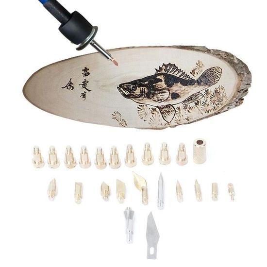 SURENHAP Outil de pyrogravure Kit de 22 têtes de fer à souder ...