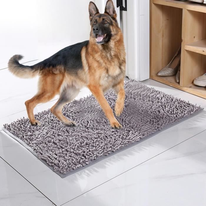 Tapis de sol - Chien - Ultra absorbant - 60 x 90 cm - Antidérapant ...