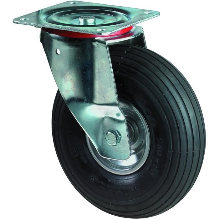 De Transport Roulette, Plaque, Brouette, Corps Acier, 260 Mm De Roue ...