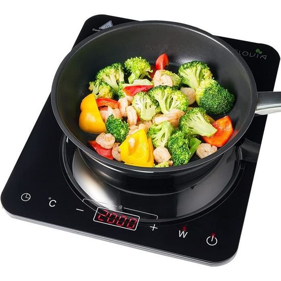 Plaque à Induction, Plaque Induction Portable 3500W, Surface en Verre ...