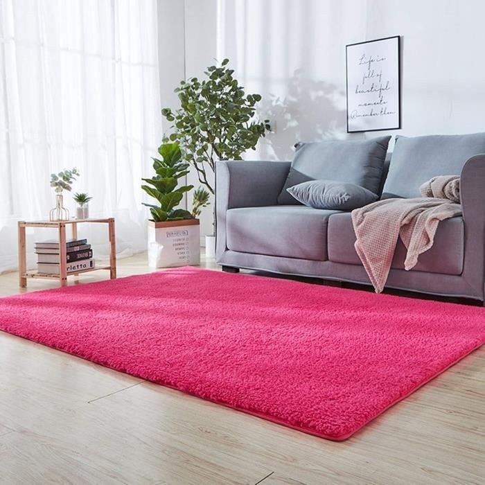Tapis Moelleux Salon Rose Foncé 60 X 90 Cm Décoration Tapis Extra Epais ...