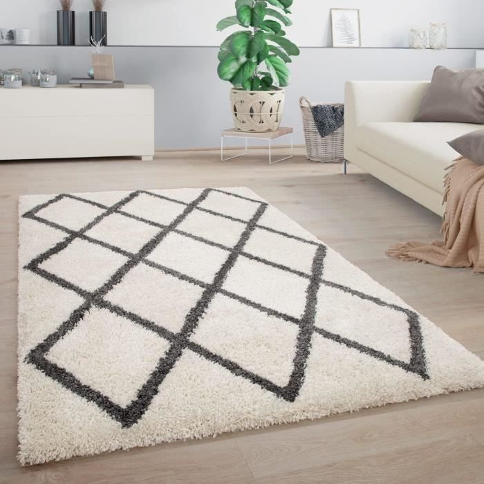 Tapis Salon, Chambre-Poils Longs Shaggy Motifs Coloris Et Tailles Variés, Dimension:140X200 Cm ...