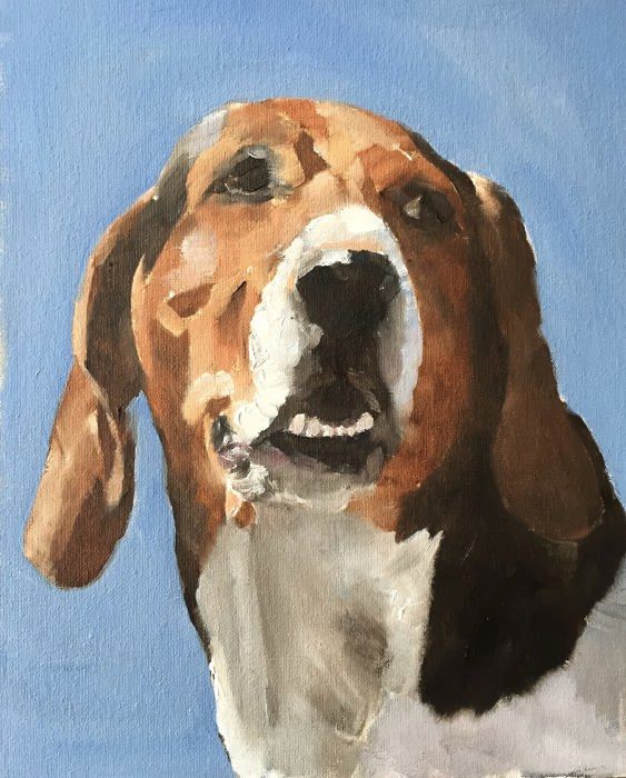 James coates Beagle 004 Carte d'anniversaire pour proprietaire de chien ...