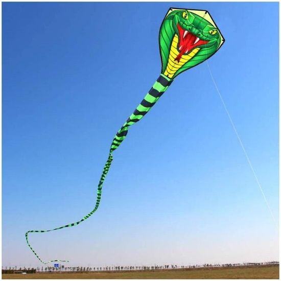 Cerf-volant pour débutants - Grand cerf-volant en forme de serpent - 8 ...