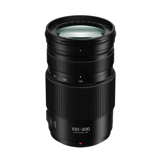 Panasonic Lumix 100-300mm F4.0-5.6 | Objectif Téléphoto H-FSA100300E ...
