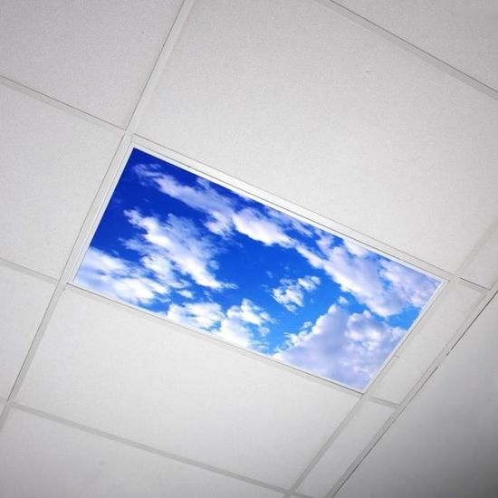 Ceiling Light Covers Fluorescent Filter Ciel Bleu Nuages Blancs Cache ...