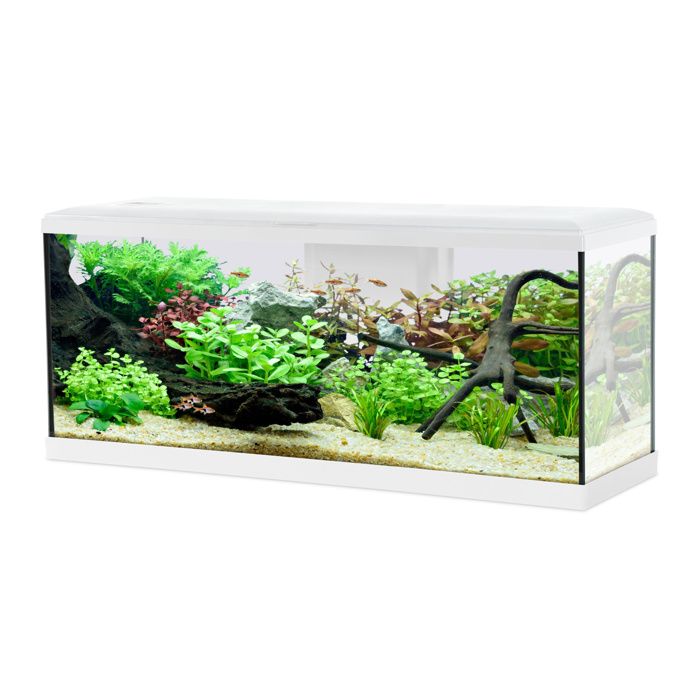 Aquarium poisson Tana LED 100cm blanc - Zolux Blanc - Cdiscount Animalerie