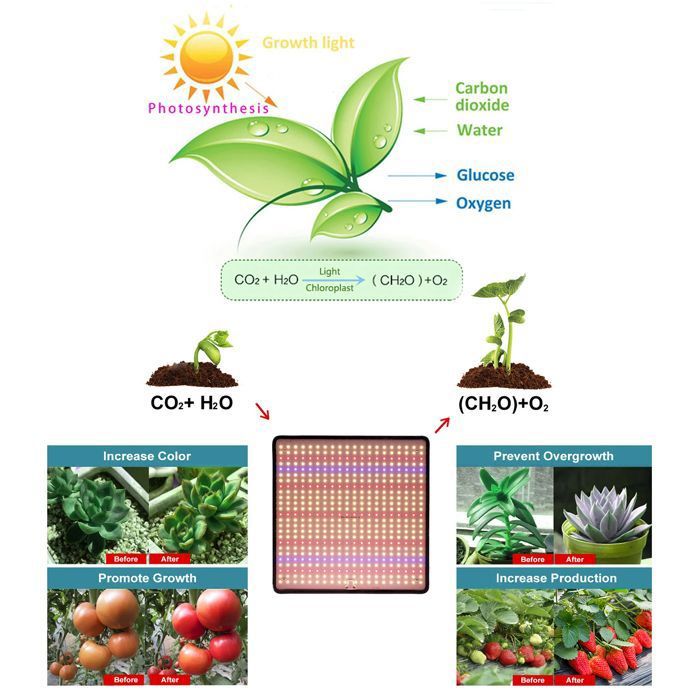 Lampe de Horticole Croissance LED,Spectre Complet 1200W,pour Plantes d ...