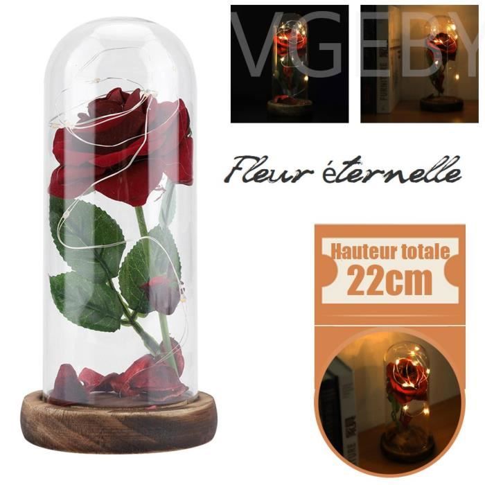 La Rose Eternelle et lumière LED La Rose Eternelle et lumière LED