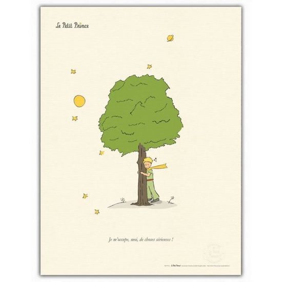 Posters et affiches - Poster affiche d'art Oneart (Le Petit Prince et l ... Posters et affiches - Poster affiche d'art Oneart (Le Petit Prince et l ...