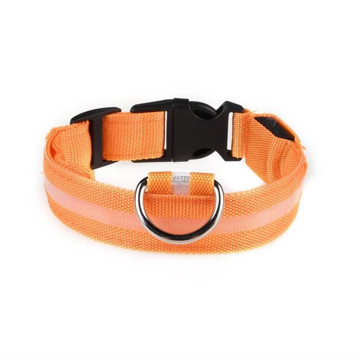 Collier de chien lumineux LED réglable, lumière anti perte, collier de ...