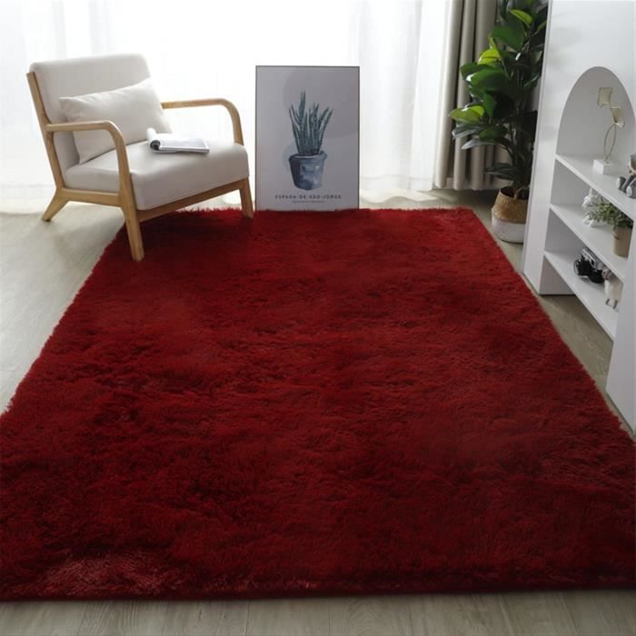 Tapis Rectangle À Poils Longs Doux Et Moelleux - Vin Rouge - 60 x 120 ...