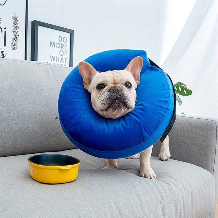 Collier conique gonflable pour chien et chat, collier animal souple et ...