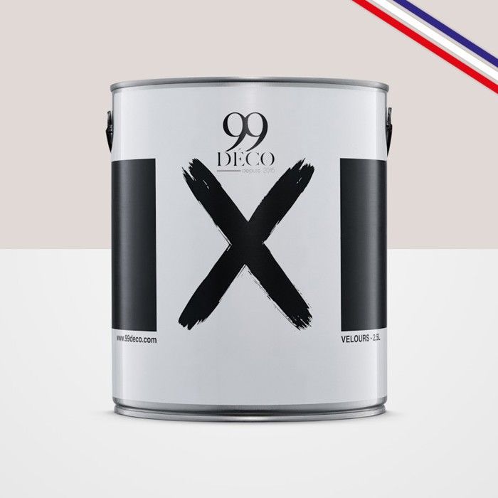 Peinture Mur Velours - Gris Clair - Interieur - 2,5l - 99DECO ...