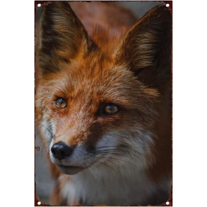 Métal Mur Affiche,Renard des Animaux de la forêt,Vintage Étain Signe ...