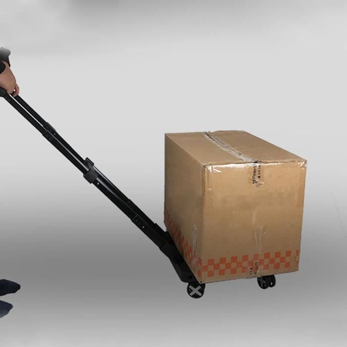Chariot - ZJCHAO - Mini Portable - 100kg - Antidérapant - Pliable ...