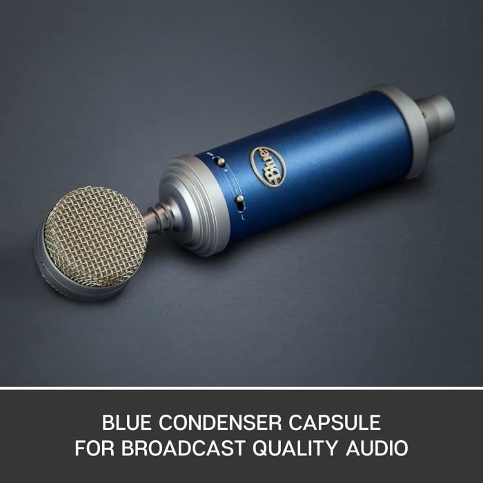 Blue Bluebird Xlr Microphone Électrostatique Pour L‘Enregistrement Et ...