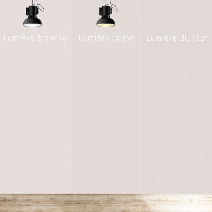 Peinture Mur Velours - Gris Clair - Interieur - 2,5l - 99DECO ...