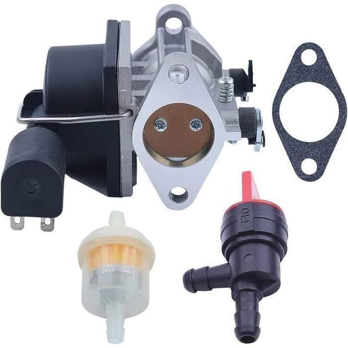 PIECE DETACHEE OUTIL DE JARDIN HAOPYOU Pour Tecumseh OV490EA OHV14 ...