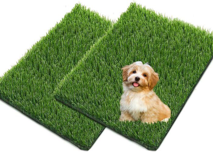 Gazon Artificiel Pour Chien - Tapis DEntranement Pour Chien - Tapis De Football - 46 X 585 ...
