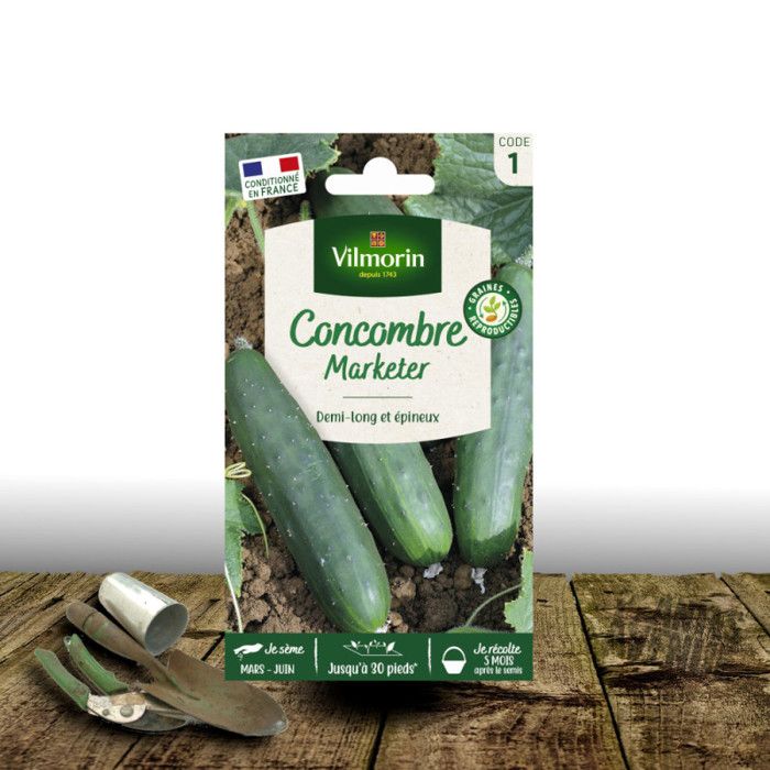 Graines de Concombre Marketer - Vilmorin - Cdiscount Jardin