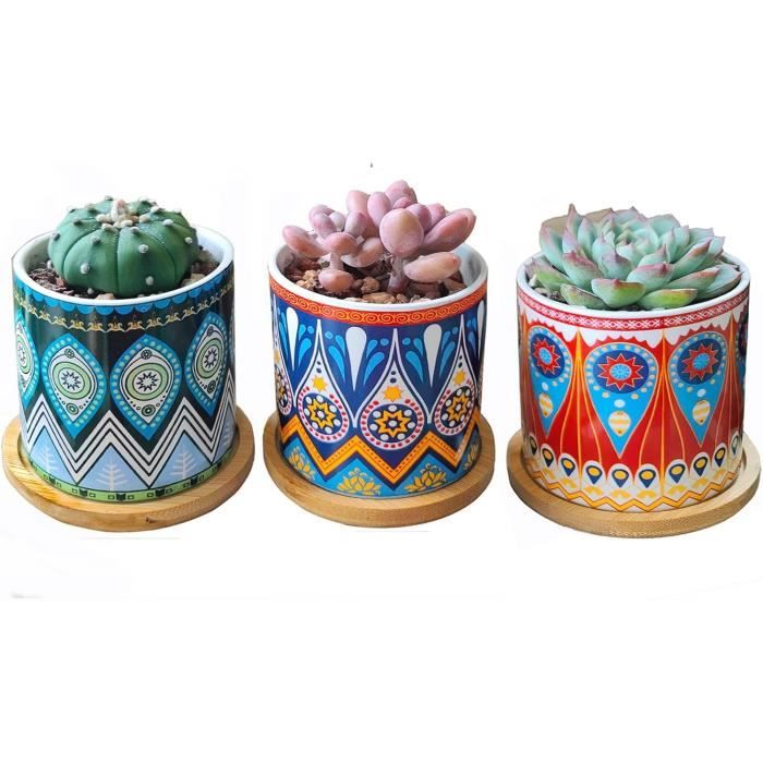 Pots Pour Succulentes, Pot De Jardinage Avec Drainage Et Plateau En ...