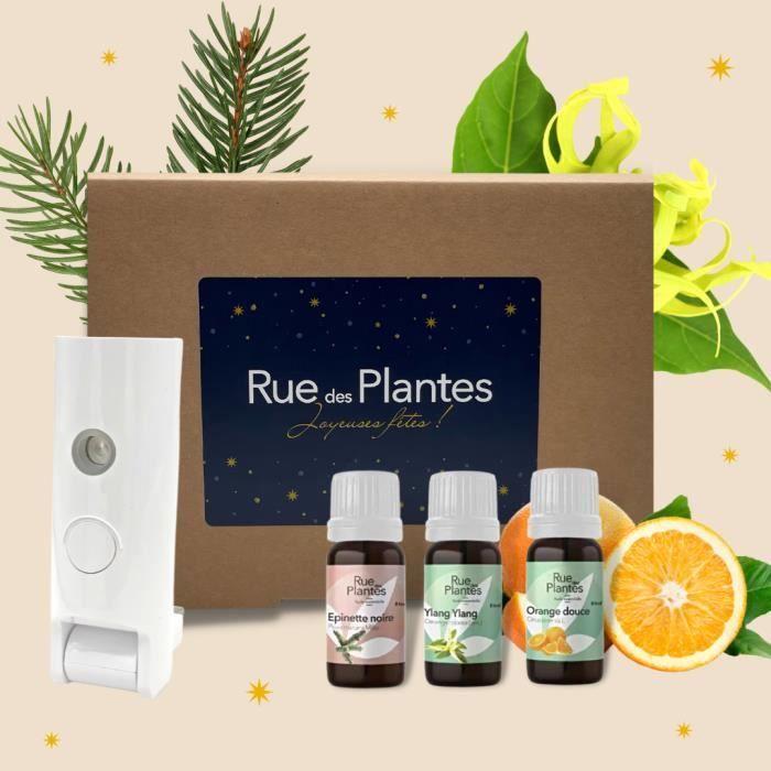 HUILES ESSENTIELLES et DIFFUSEUR USB MAISON BULIA - AT HOME - Cdiscount ...