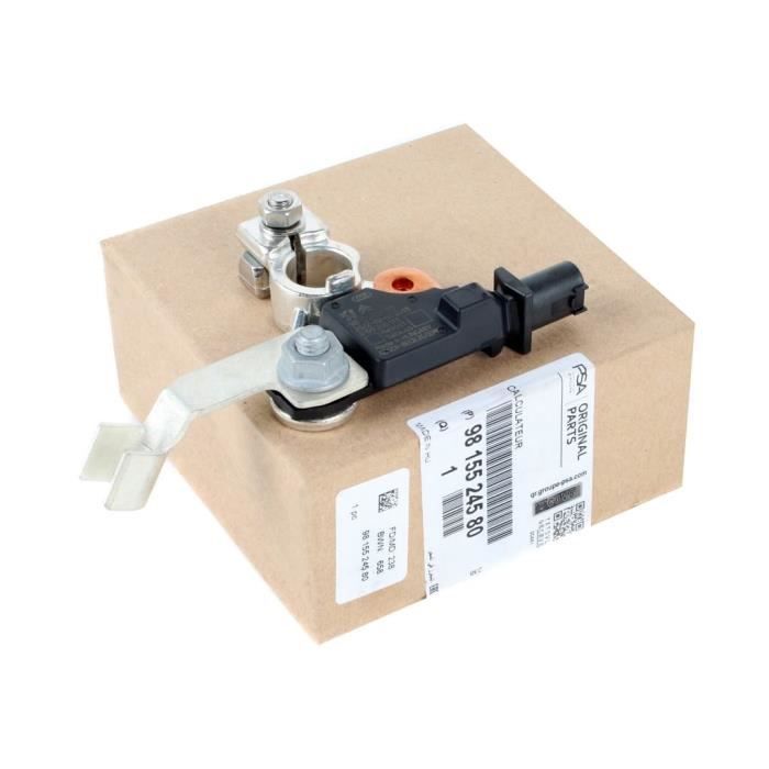 Borne Négative de Batterie Citroen C5 III Peugeot 407 508 9815524580 ...