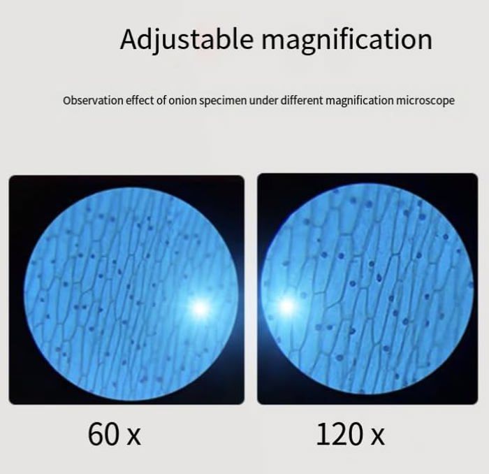 Le Petiscope Enfant, Microscope Portatif, Microscope Enfant Portable ...