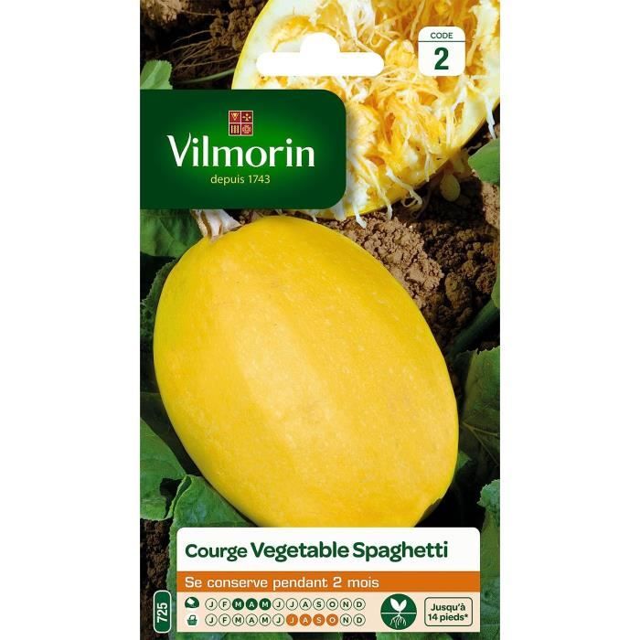 3486142 Courgette végétale, Jaune, 90 x 2 x 140 cm [344] - Cdiscount Jardin