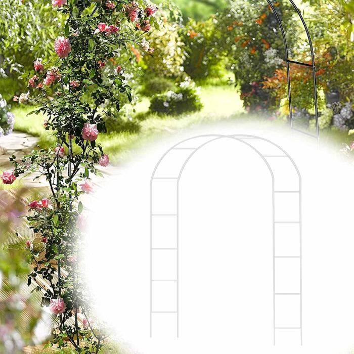 Arche À Rosiers pour Roses Plantes Grimpantes Support de Jardin en ...
