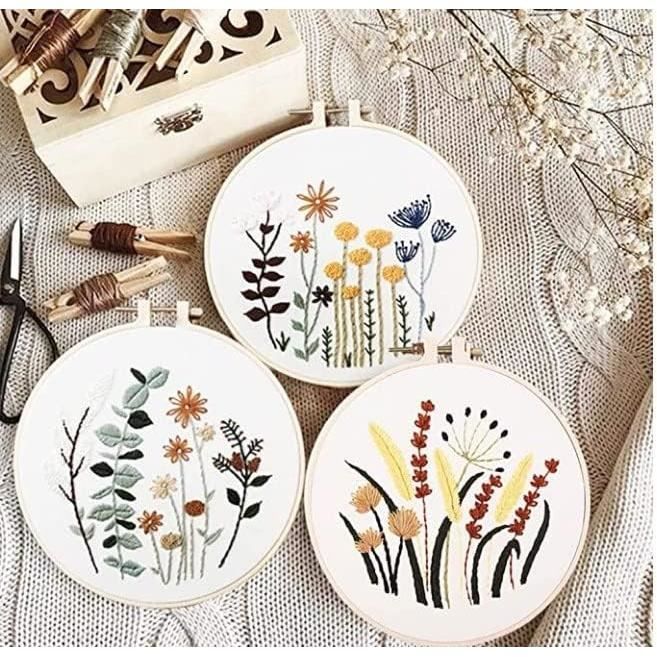 Kit de Démarrage de Broderie, 3pcs Fils à Broder Kit, avec Cerceaux de ...