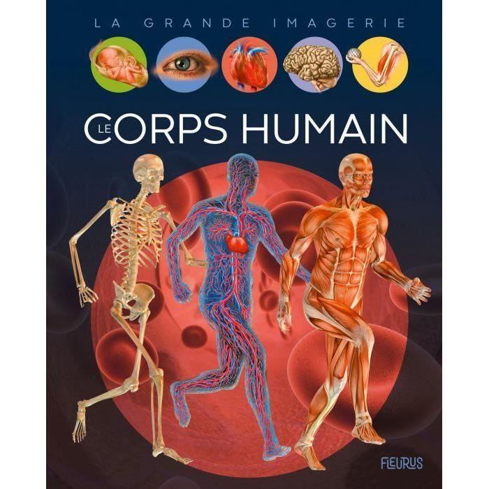 Livre - le corps humain - Cdiscount Librairie
