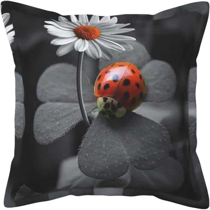 Coussin De Luxe Ladybug Daisy Avec Insert De Coussin, Coussin De Canapé ...