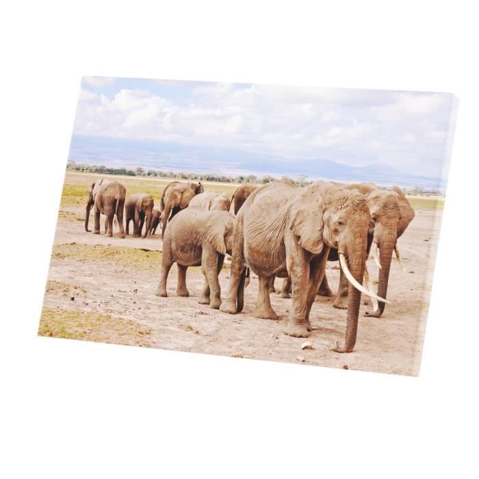 Tableau Décoratif Horde d'Éléphant dans la Savane Vie Sauvage Animaux ...