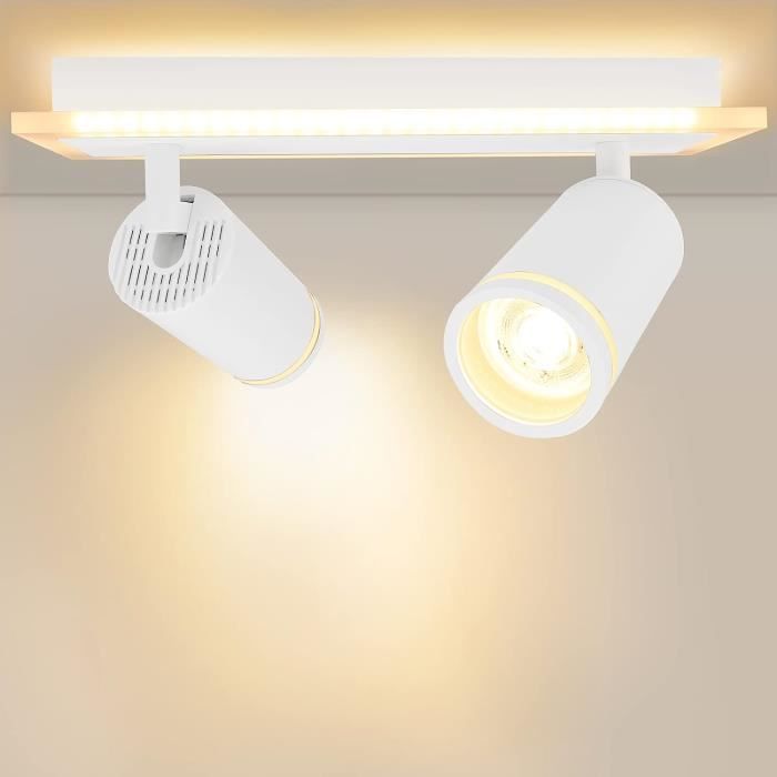 Plafonnier Led 2 Spot, Spots De Plafond Plafonnier Pivotants ...
