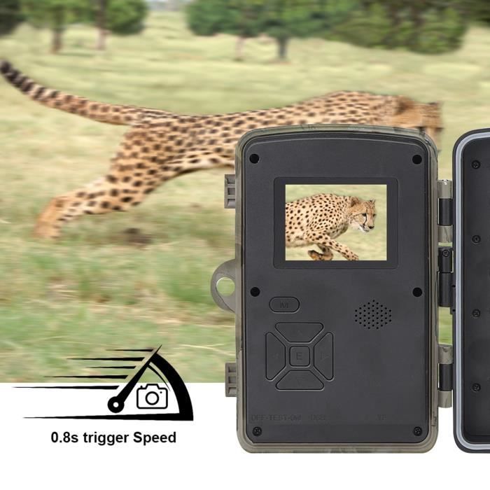MOH-Infrarouge Caméra Caméra de Chasse étanche Haute Définition 1080P ...