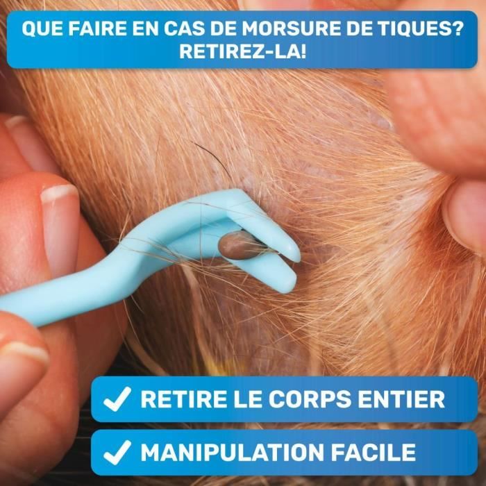 3 Tailles Set Tire Tique - Retireur de Tiques Fiable pour Chiens,Chats ...