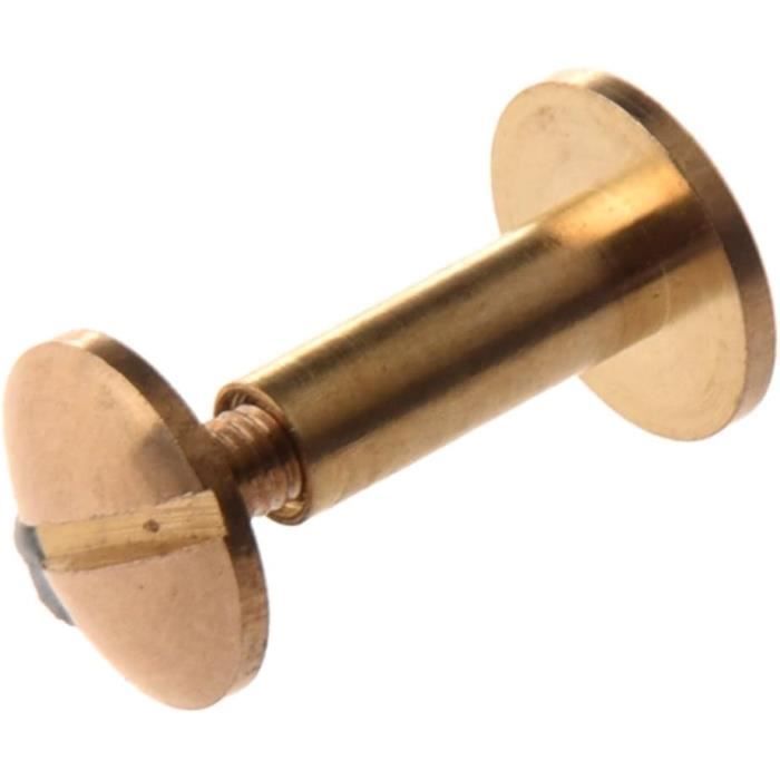 Lot de 10 rivets en laiton à visser pour rivets en cuir 12 mm198 ...
