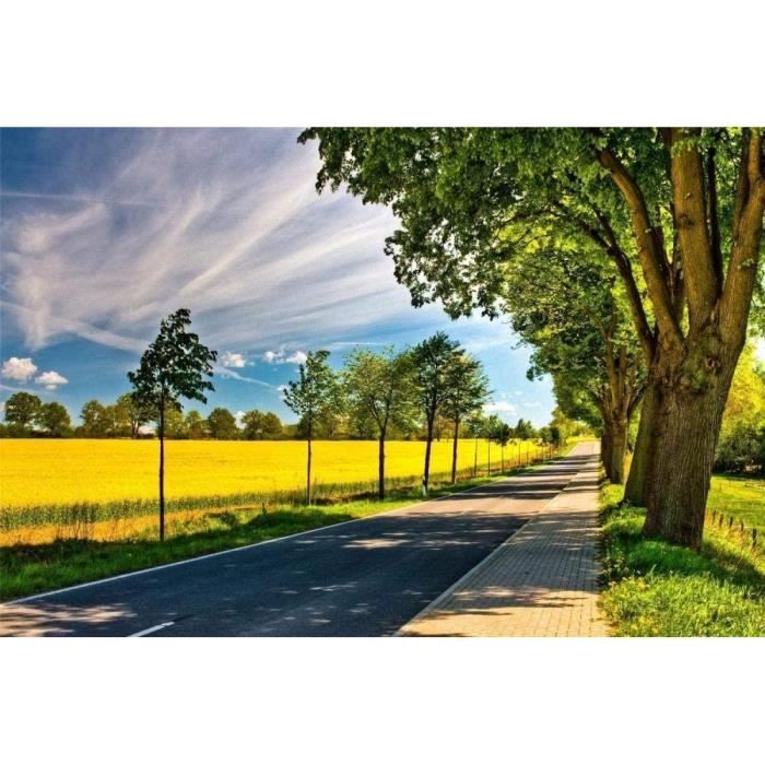 Diy Jeux De Puzzle Paysage De Fin D'Été Casse-Tête Jeu Créatif Puzzle ...